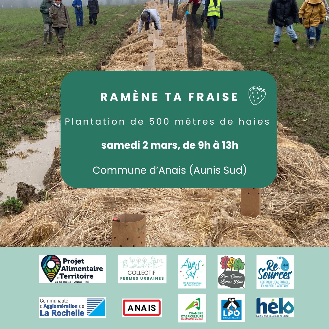 Chantier participatif Ramène ta Fraise - Aunis Sud : Aunis Sud